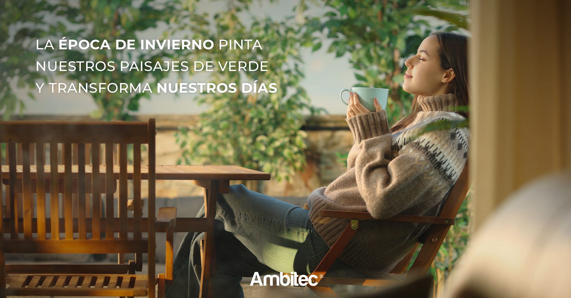Inicio | Ambitec